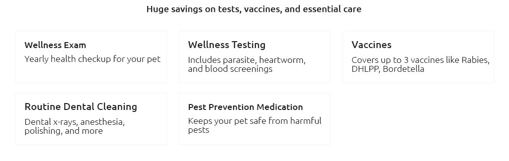 Health Insurance For Pets Dogs 🐾 Jan 2026